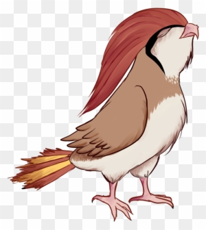 Pidgeotto - Pokemon Pidgeotto - Free Transparent PNG Clipart Images ...